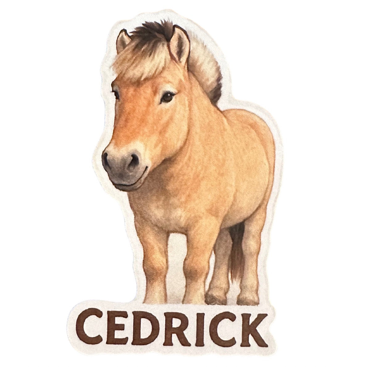 ASIABfriends Cedrick the Great – All seated in barn
