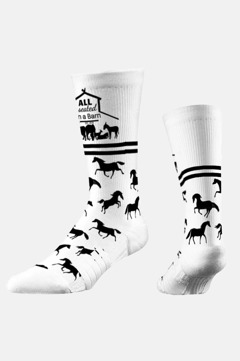 You've Been Socked – All seated in barn